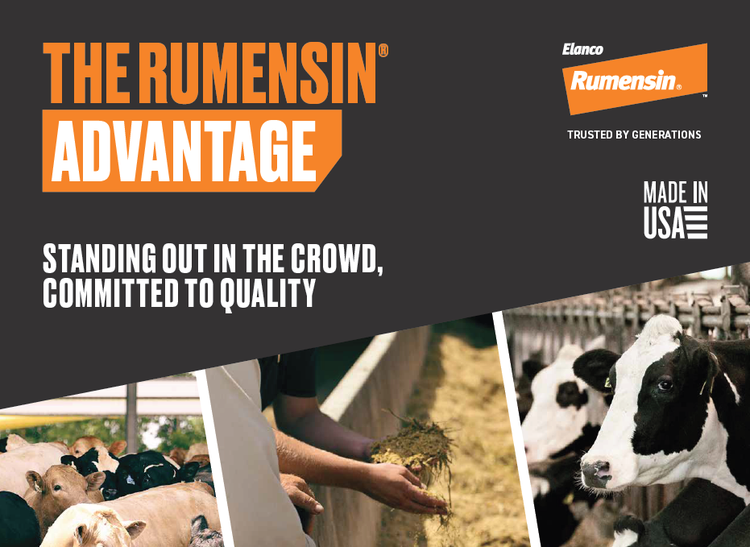 Rumensin | Feedyard